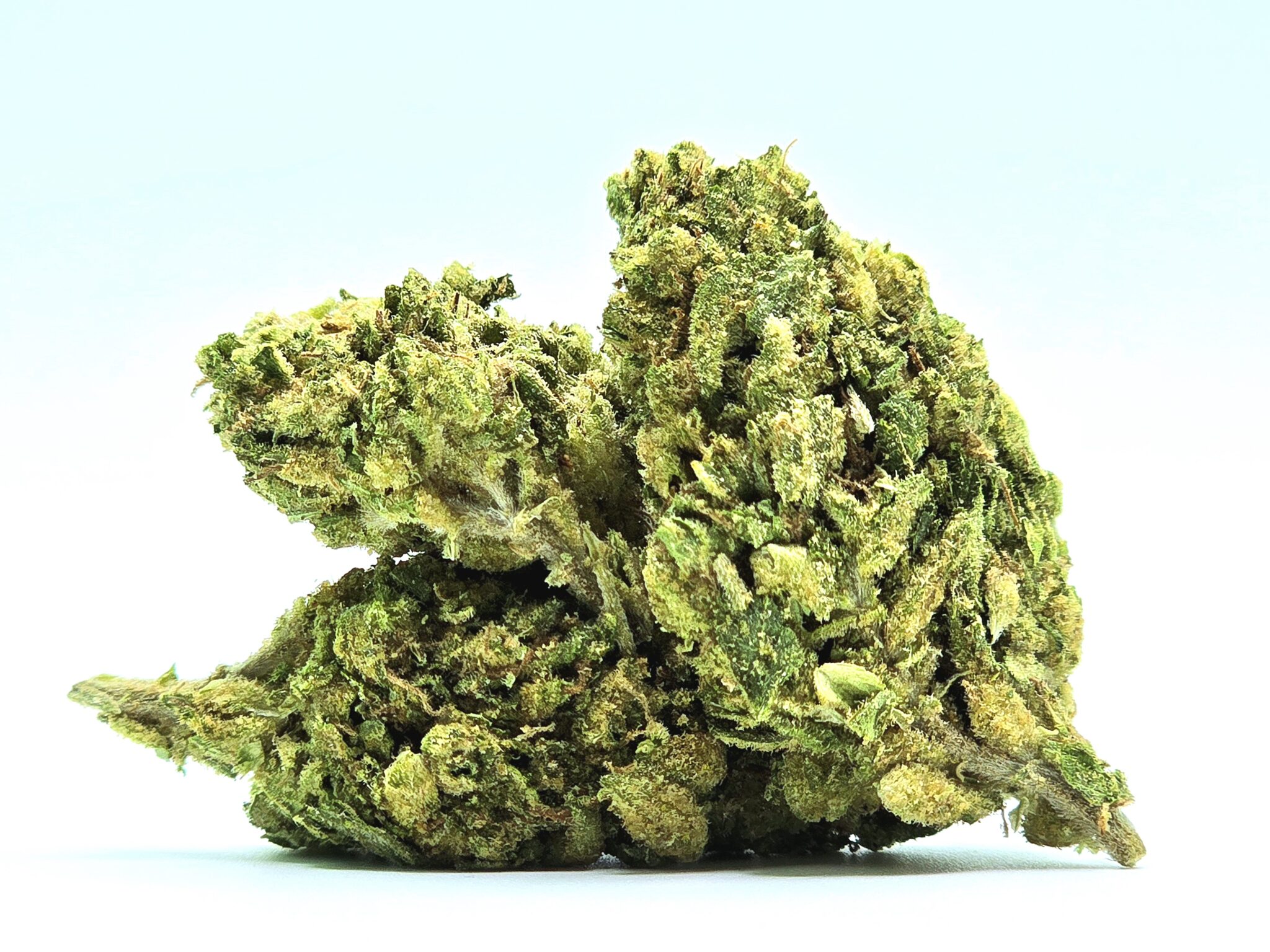 Honey | Pipekeepers Smoke Shop | Cayuga, NY Honey | Pipekeepers Smoke Shop | Cayuga, NY