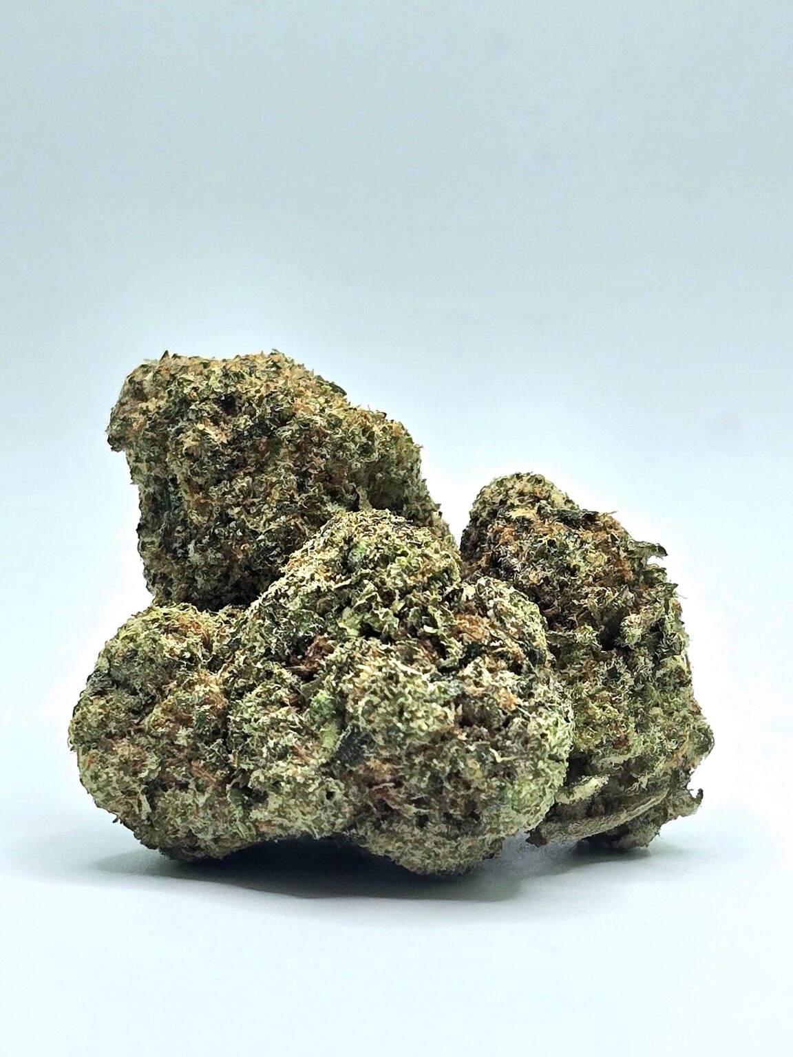 Lemon Tree | Pipekeepers Smoke Shop | Cayuga, NY