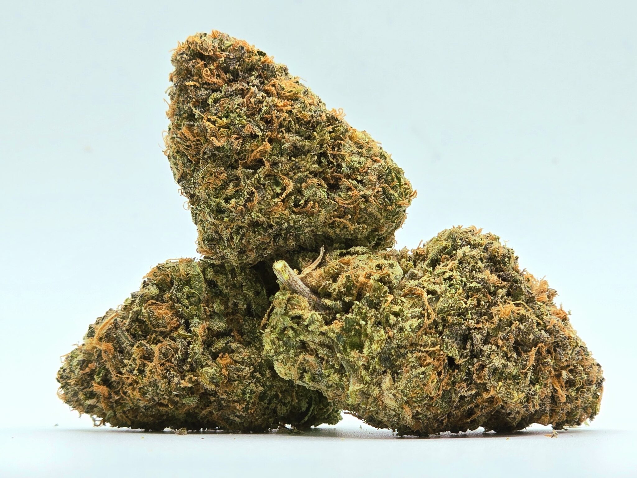 Lab Zkittlez | Pipekeepers Smoke Shop | Cayuga, NY