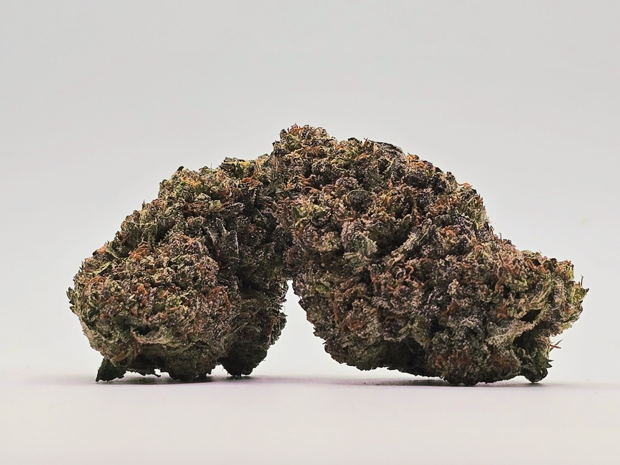 Cereal Milk | Pipekeepers Smoke Shop | Cayuga, NY Cereal Milk | Pipekeepers Smoke Shop | Cayuga, NY