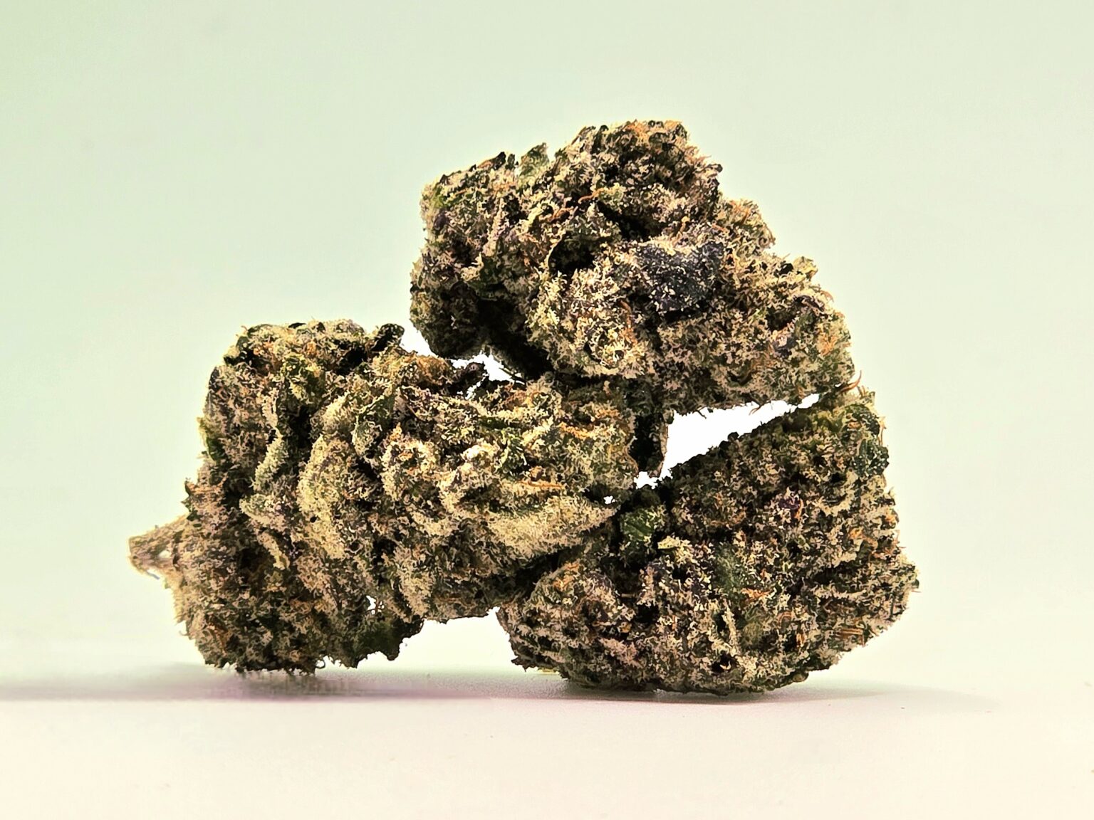 Sherb Cream Pie AAA | Pipekeepers Smoke Shop | Cayuga, NY