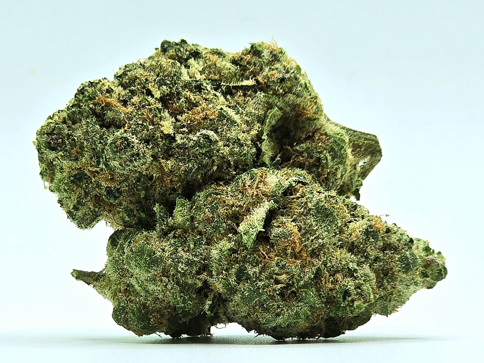 Super Lemon Haze | Pipekeepers Smoke Shop | Cayuga, NY